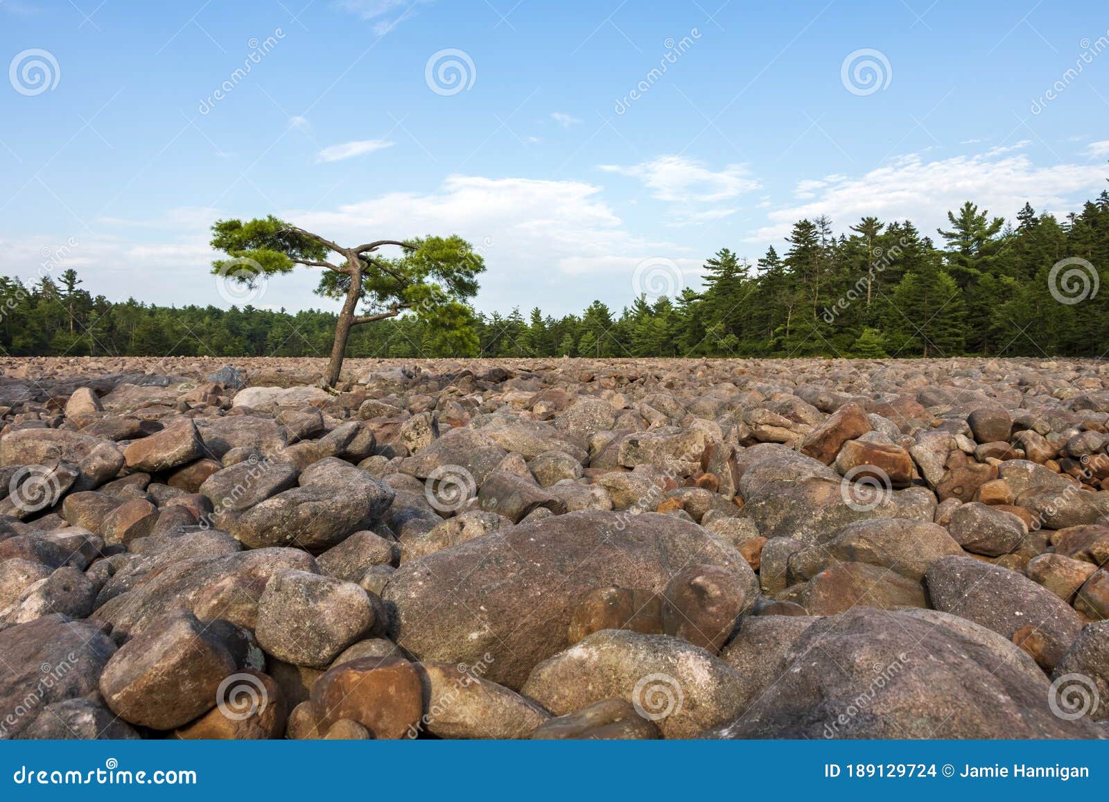 Boulder Field in Hickory Run State Park Pennsylvania Stock Photo ...