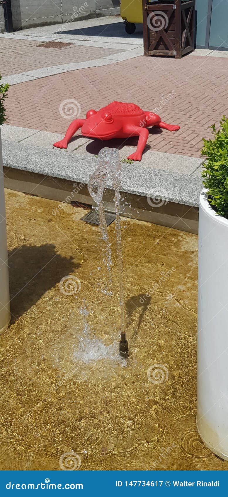 Strange red frog stock image. Image of frog, water, summer - 147734617