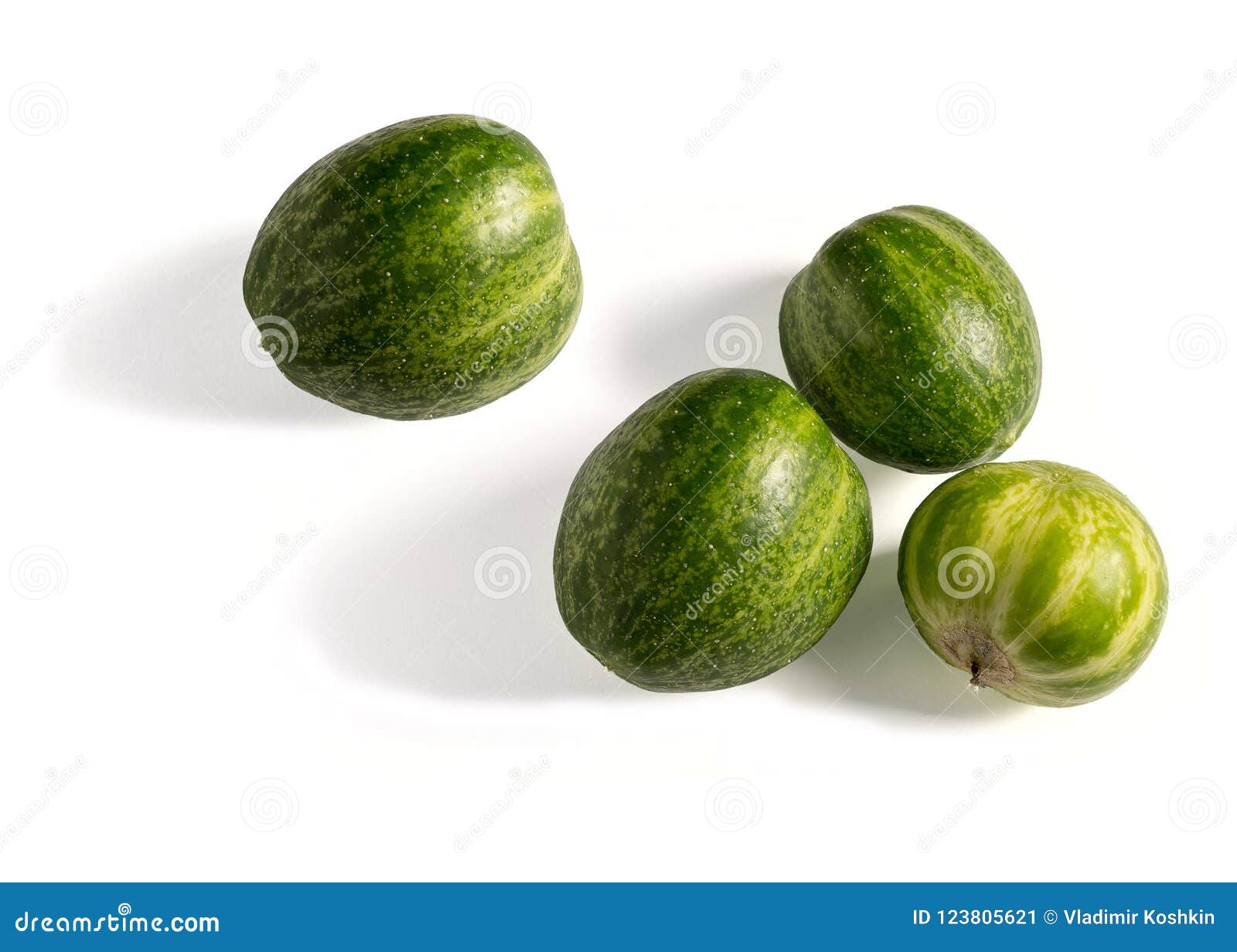 Strange round cucumbers. stock image. Image of organic - 123805621