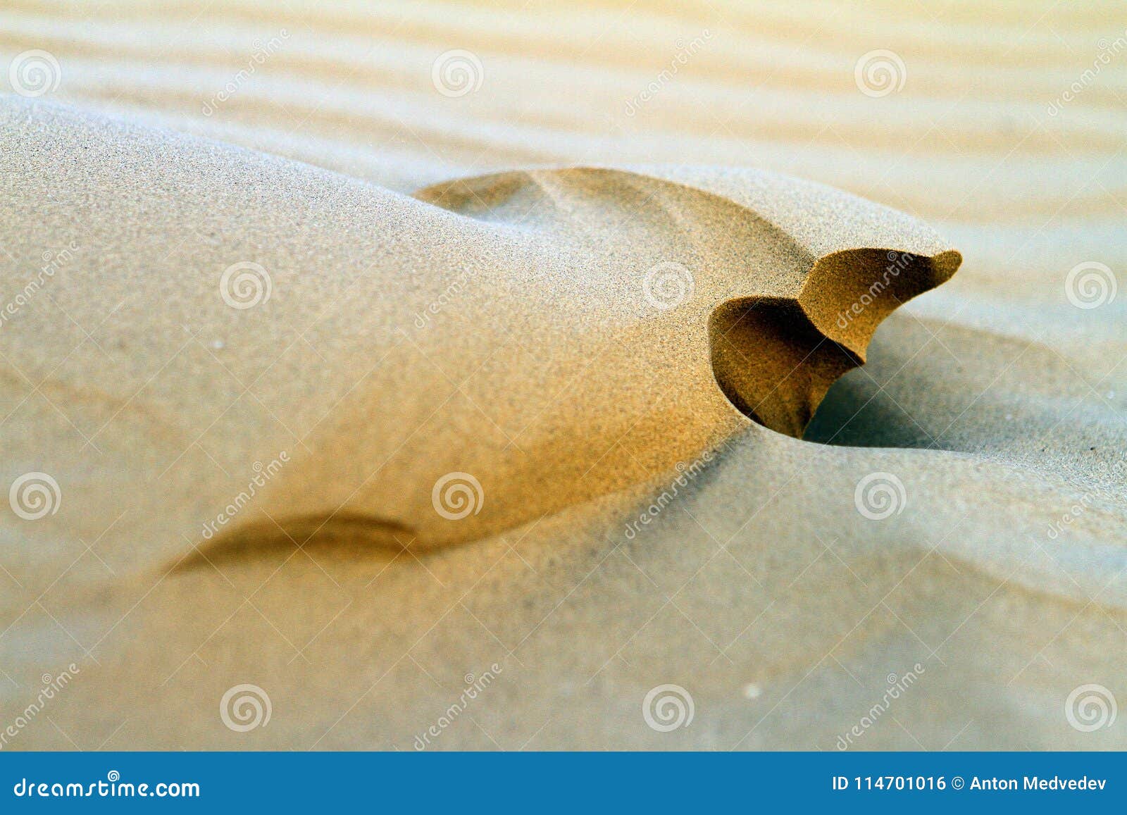 Strange Sand Formations Which Look Like Sculptures, Created By Wind ...