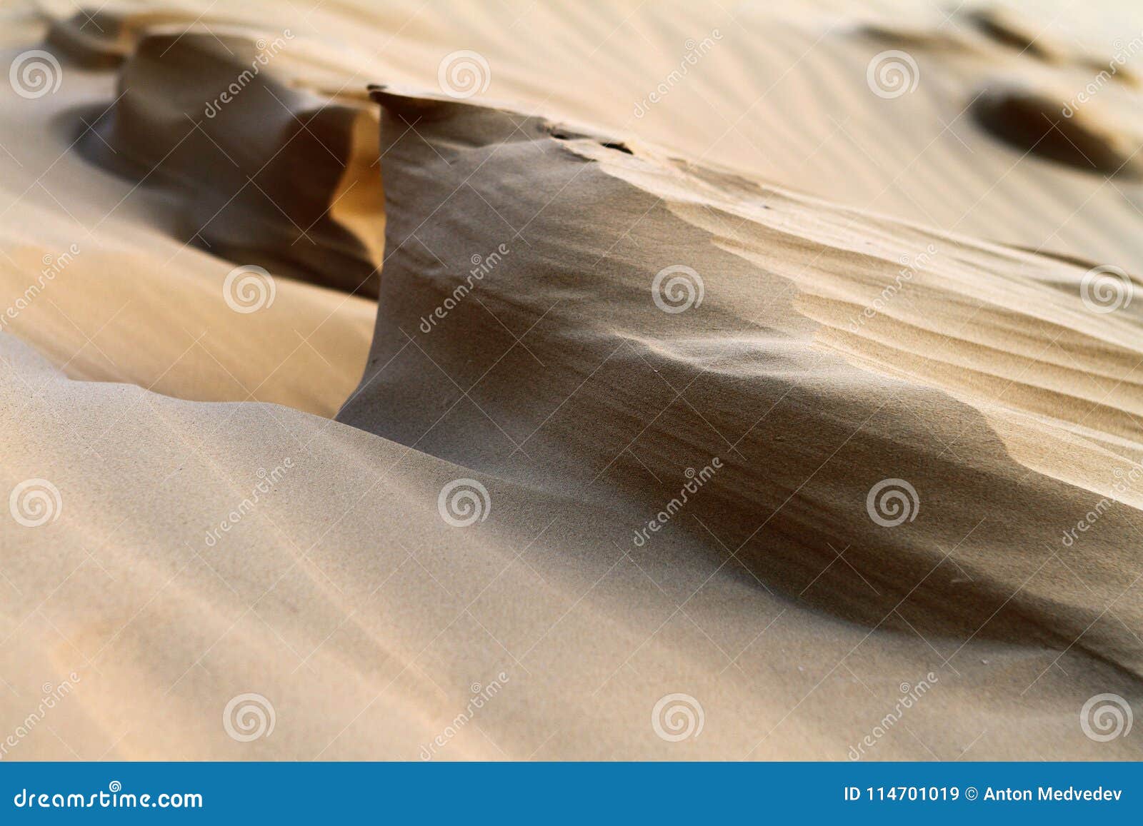 Strange Sand Formations Which Look Like Sculptures, Created By Wind ...