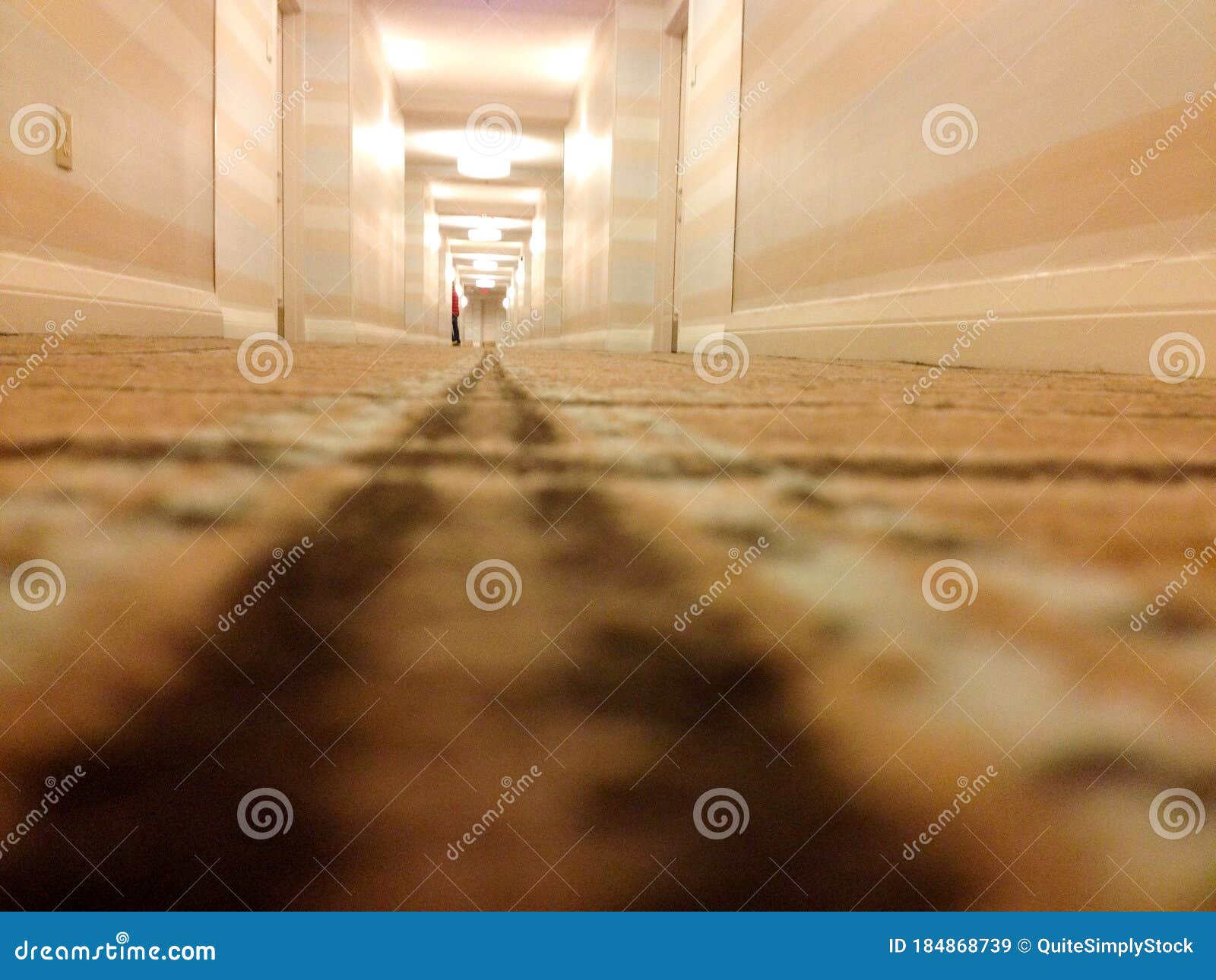 Strange Scary Spooky Hotel Hallway Long Perspective Corridor Stock ...