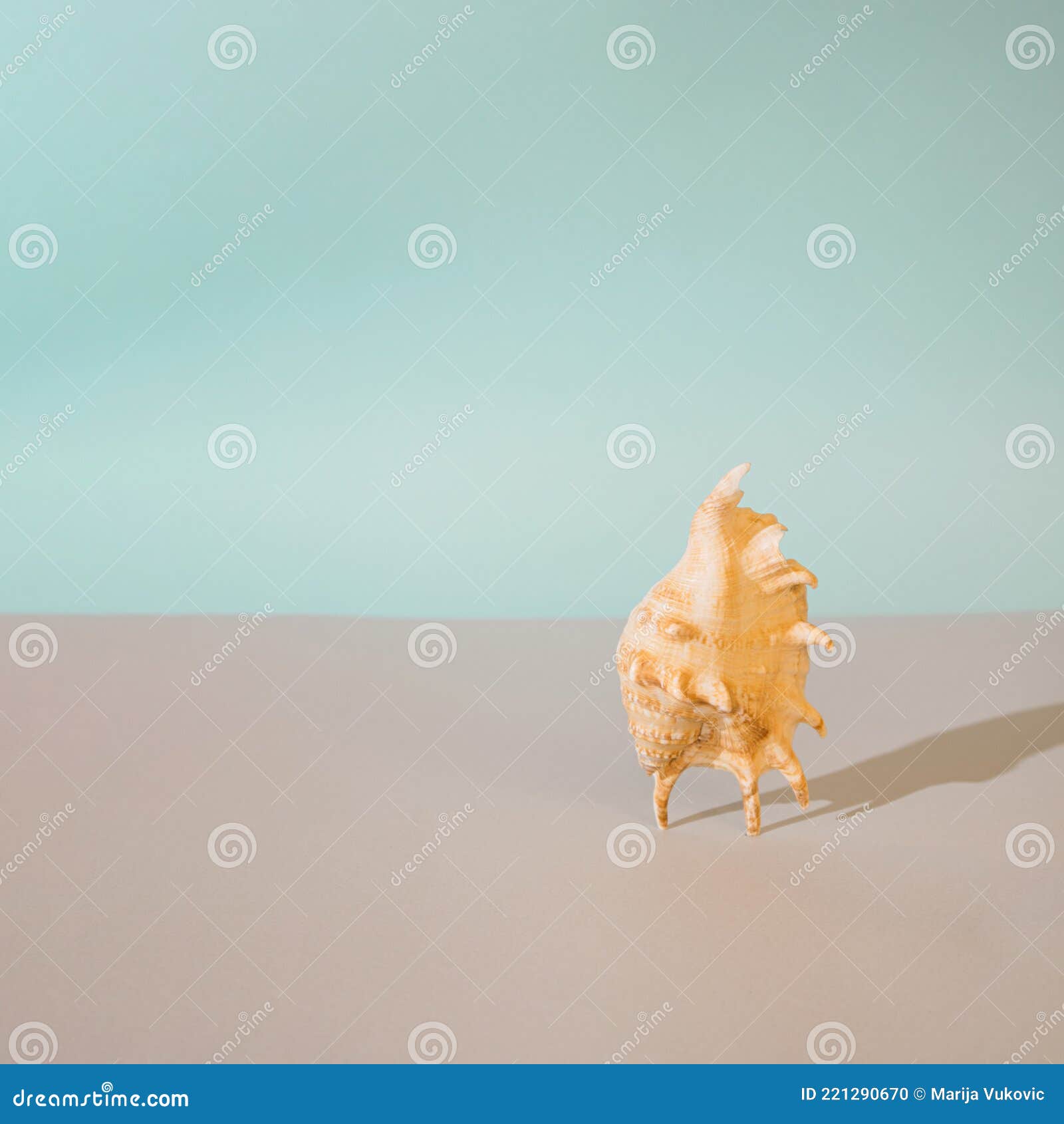 Strange Seashell Concept Minimal.summer Art Modern Idea on a Sandy Blue ...
