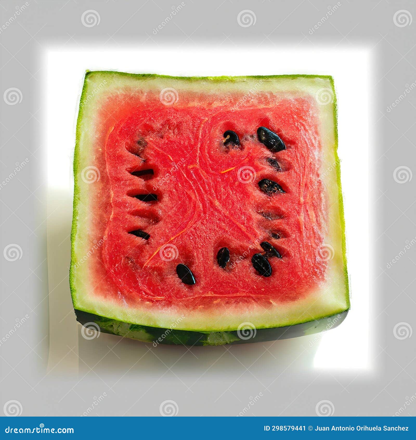 Strange Square Shaped Watermelon. Stock Illustration - Illustration of ...