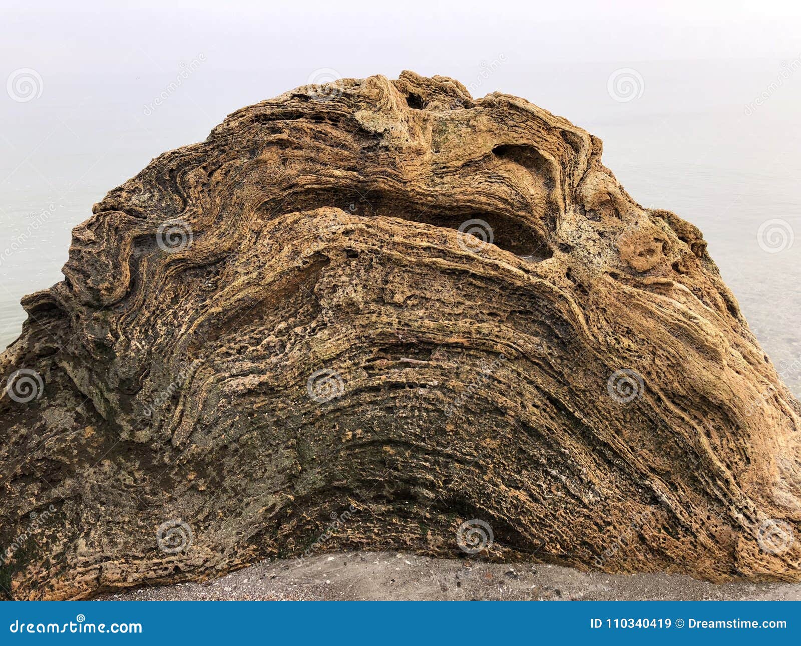 Rock of shellfish in water stock image. Image of tourism - 110340419