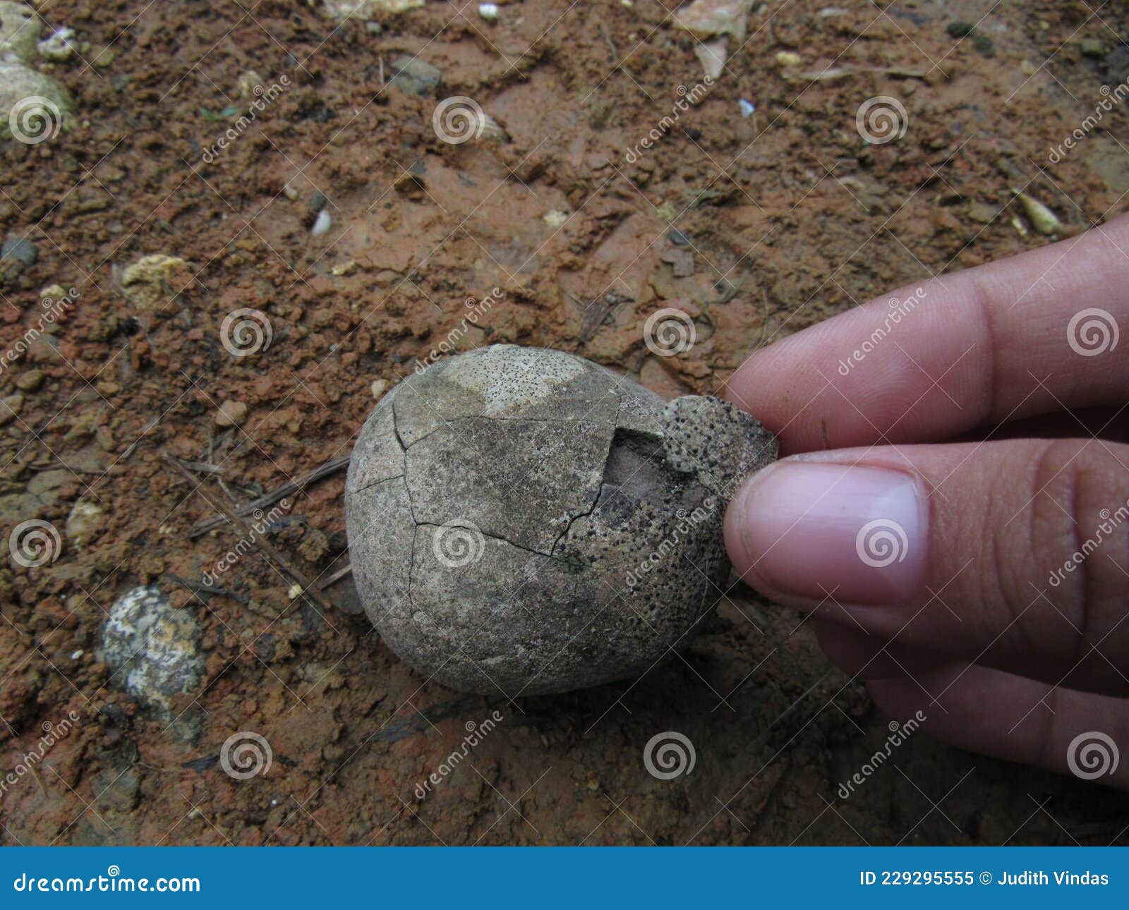 Strange Stone, Puzzle Stone Pieces Stock Image - Image of forest ...