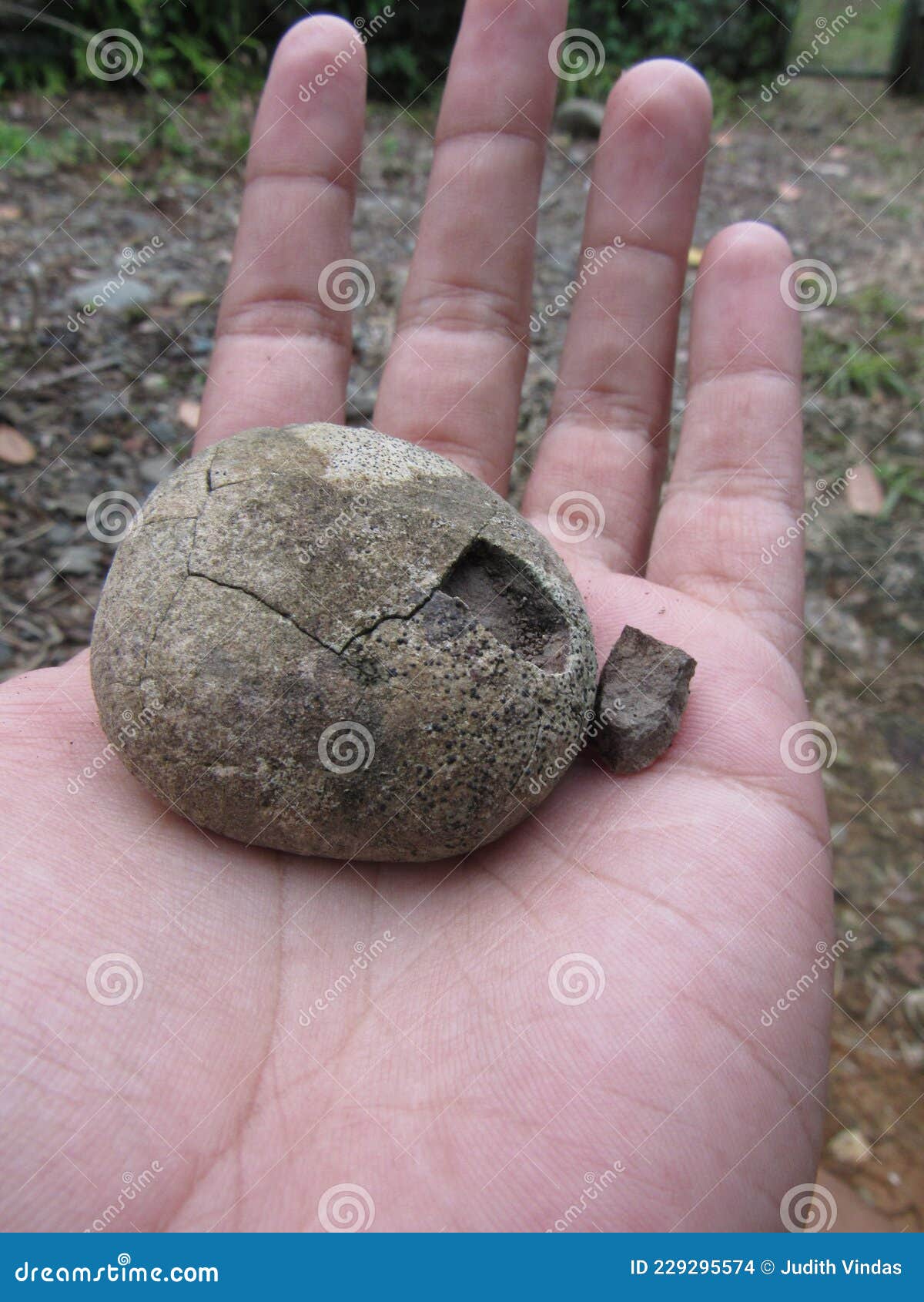 Strange Stone, Puzzle Stone Pieces Stock Photo - Image of curious ...