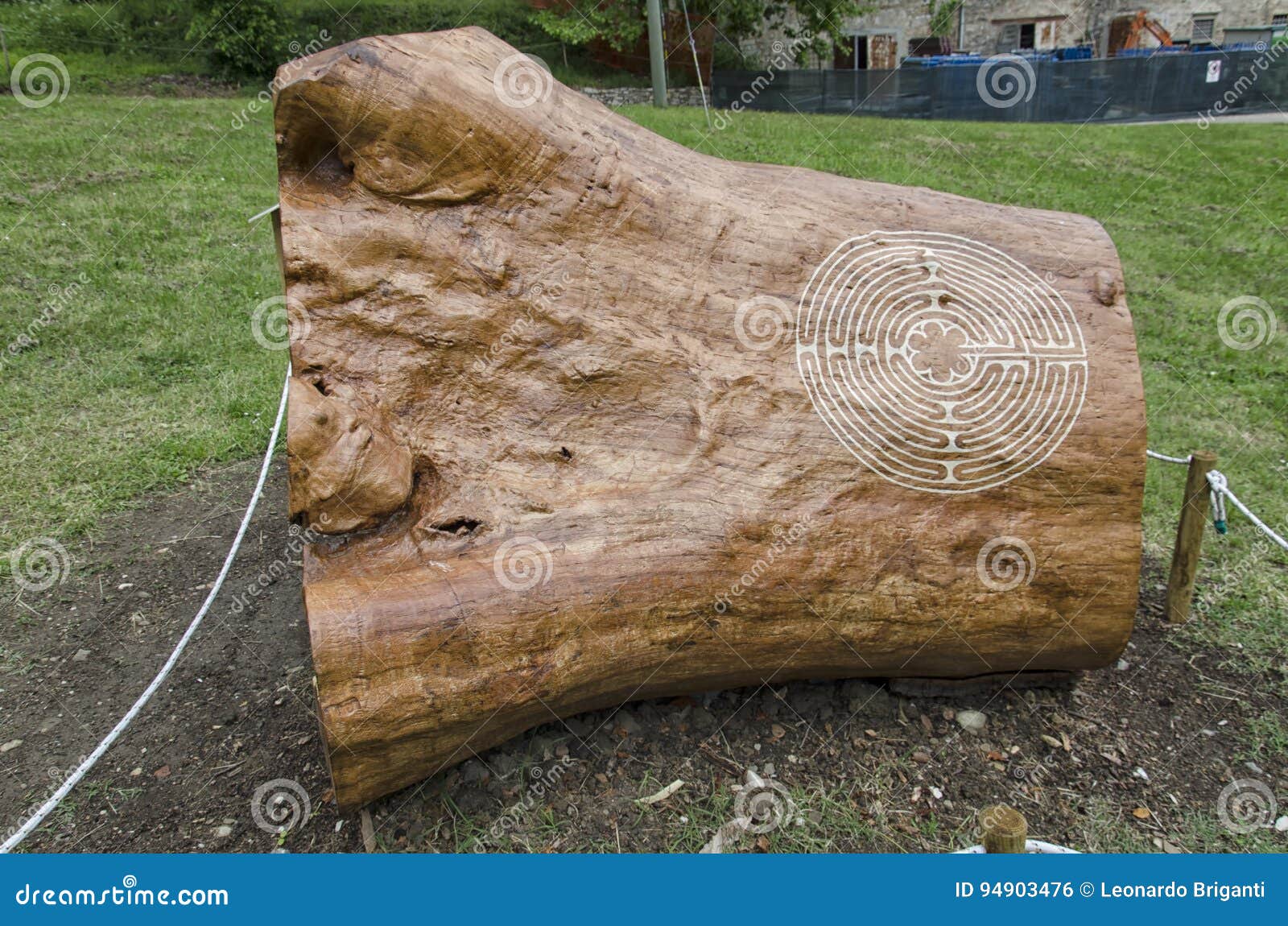 Strange Symbol Engraved on a Tree Editorial Photo - Image of secret ...