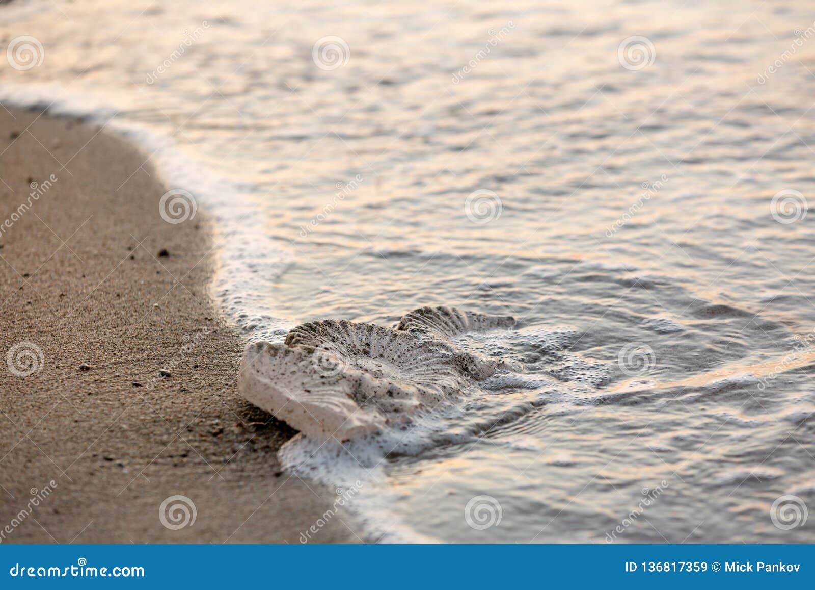 Strange Thing is Washed Up on the Beach Stock Image - Image of beach ...