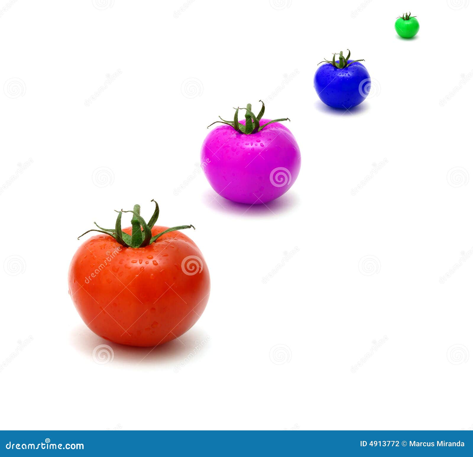 Strange tomatoes stock photo. Image of water, fruit, four - 4913772