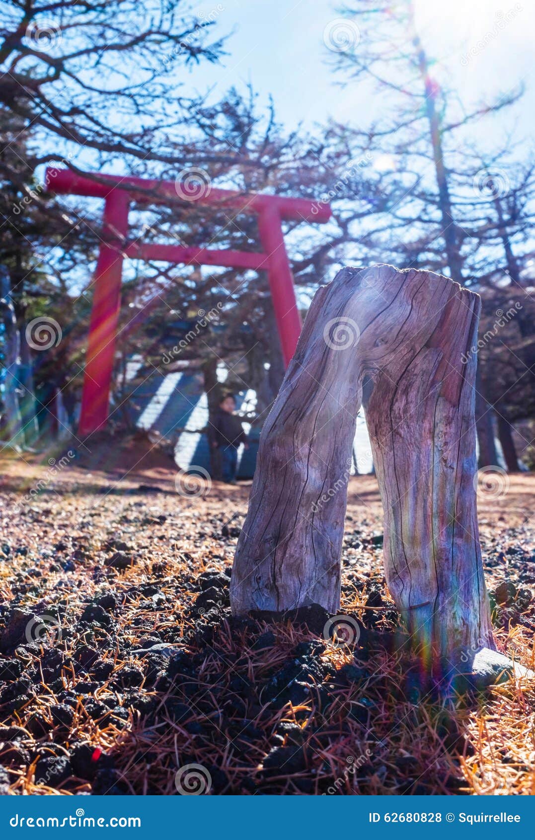 A Strange Tree before a Red Torli Stock Photo - Image of perspective ...