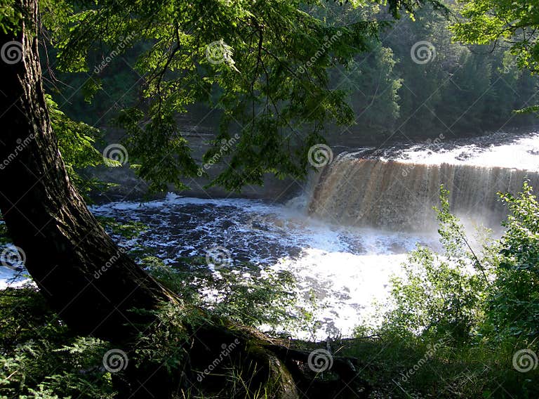 Strange Waterfall on River in Michigan Stock Photo - Image of foliage ...