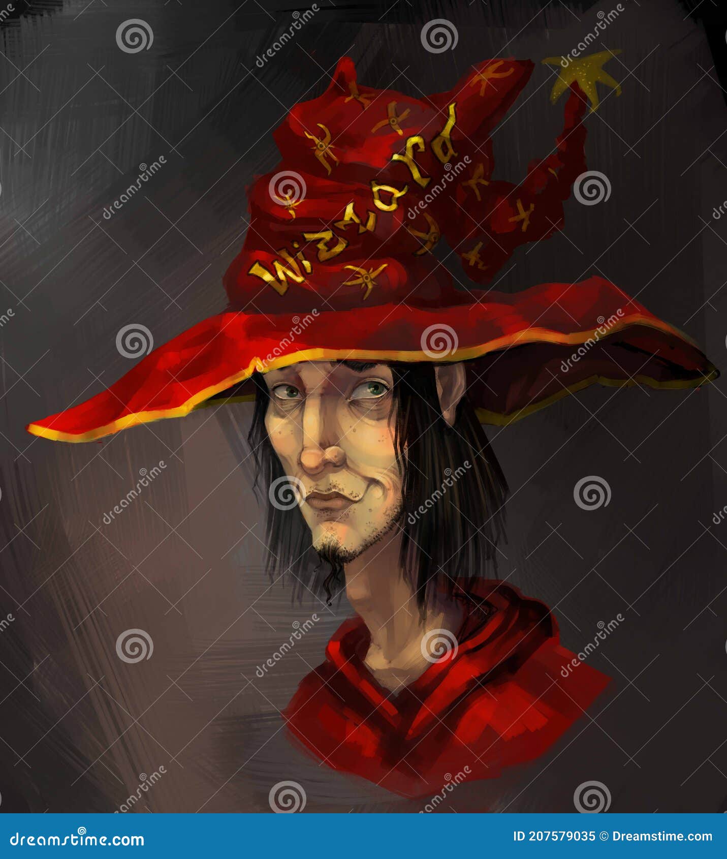 Strange wizard stock illustration. Illustration of person - 207579035