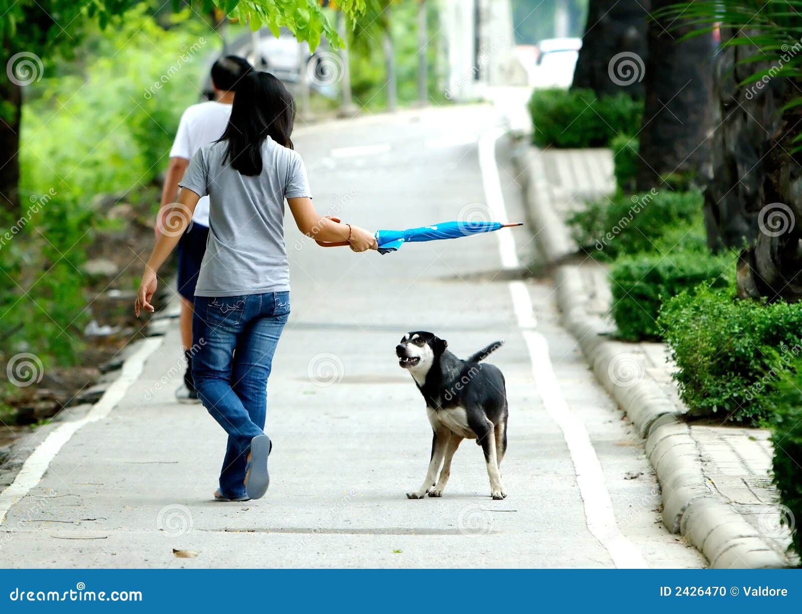 Stranger stock photo. Image of staring, teeth, defending - 2426470