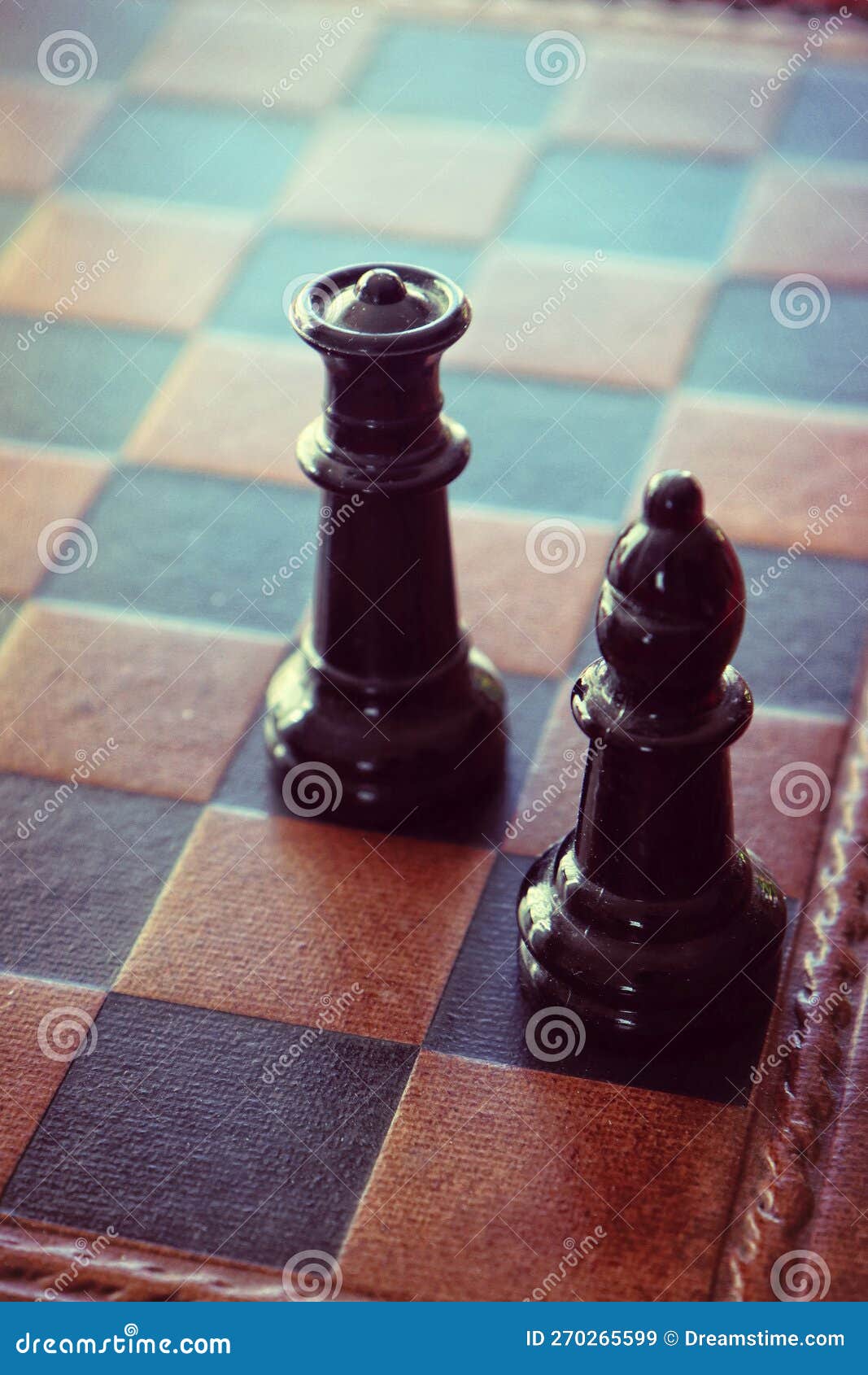 Strategy Concept: Qeen on the Chessboard Defended by Bishop Stock Image ...