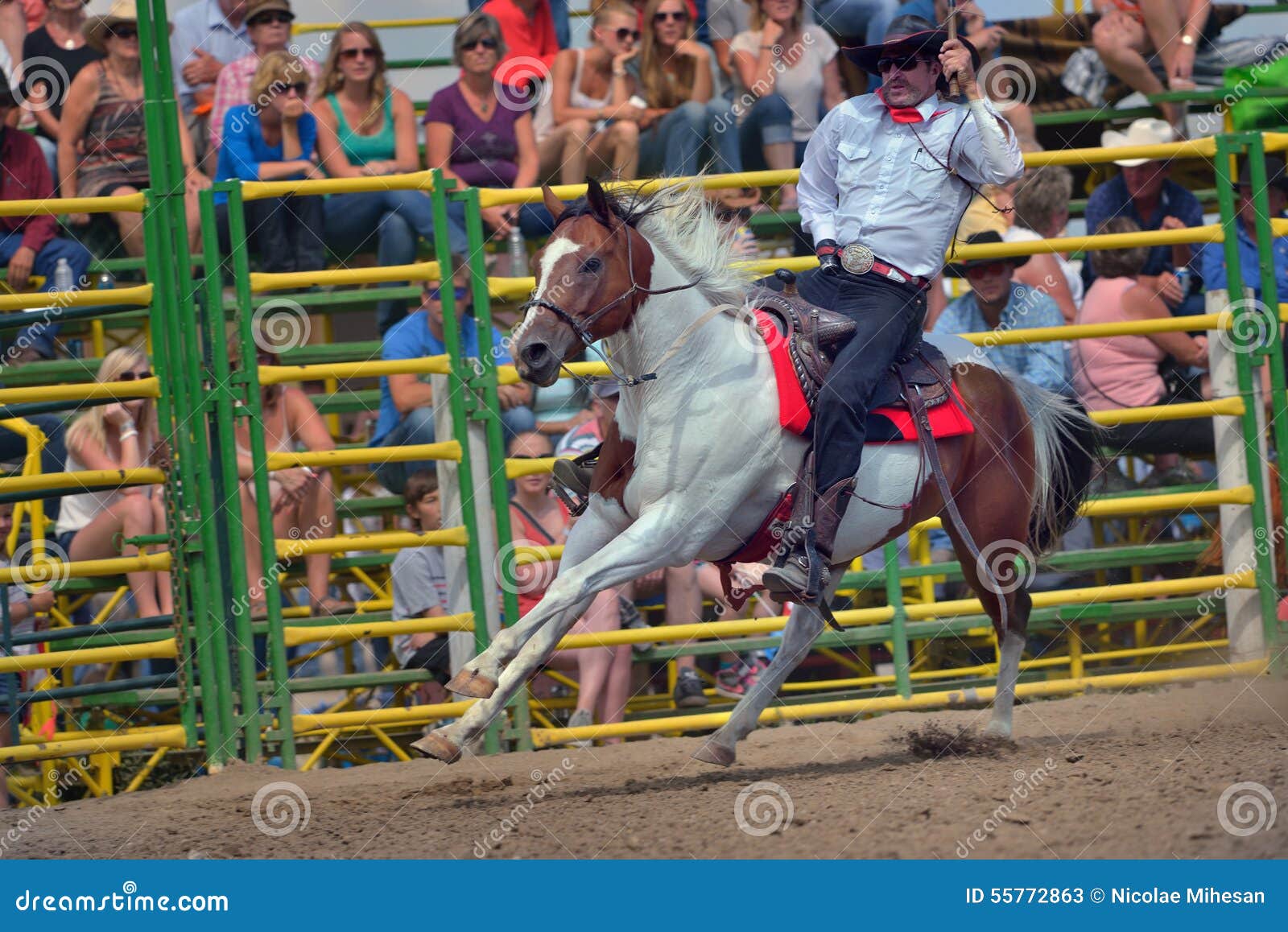 Strathmore stampede editorial stock photo. Image of calgary - 55772863