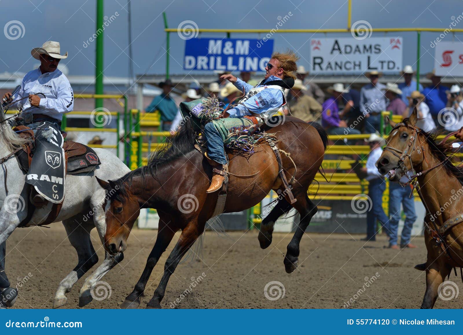 Strathmore stampede editorial image. Image of performing - 55774120