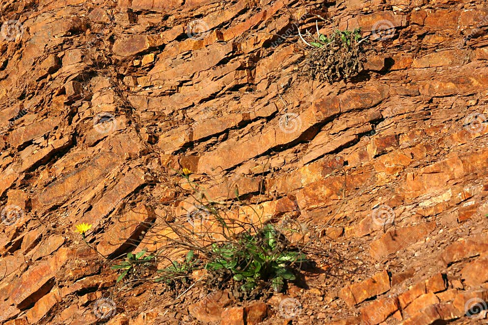Stratified Rock stock image. Image of layer, stone, slate - 7540043