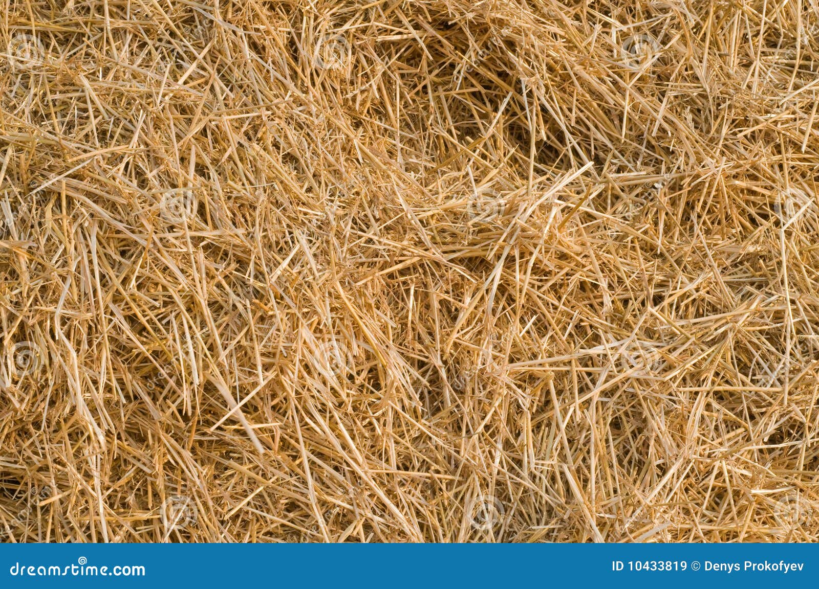 Straw stock image. Image of horizontal, cereal, bale - 10433819