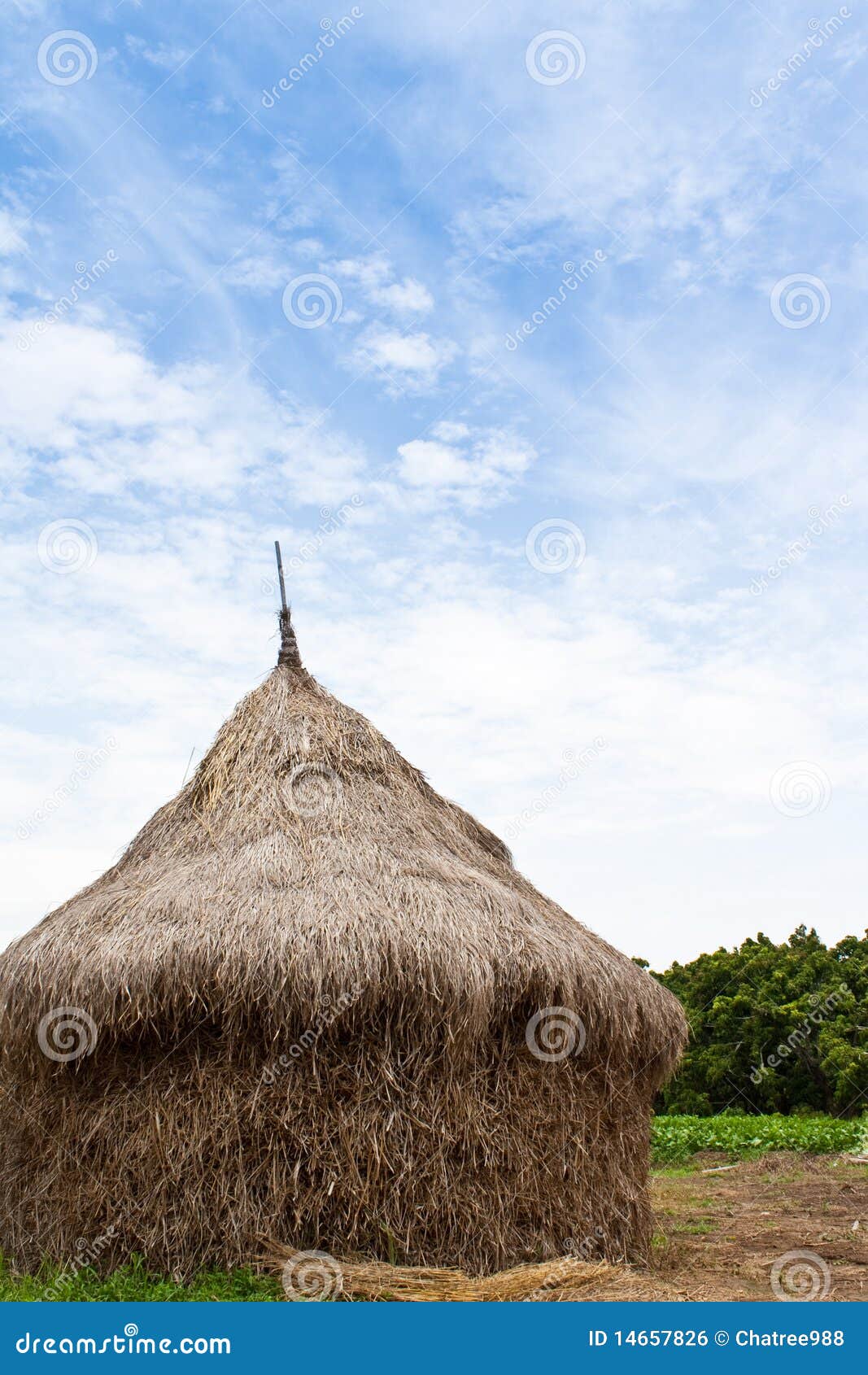 Straw stock photo. Image of tree, straw, feed, soil, farm - 14657826