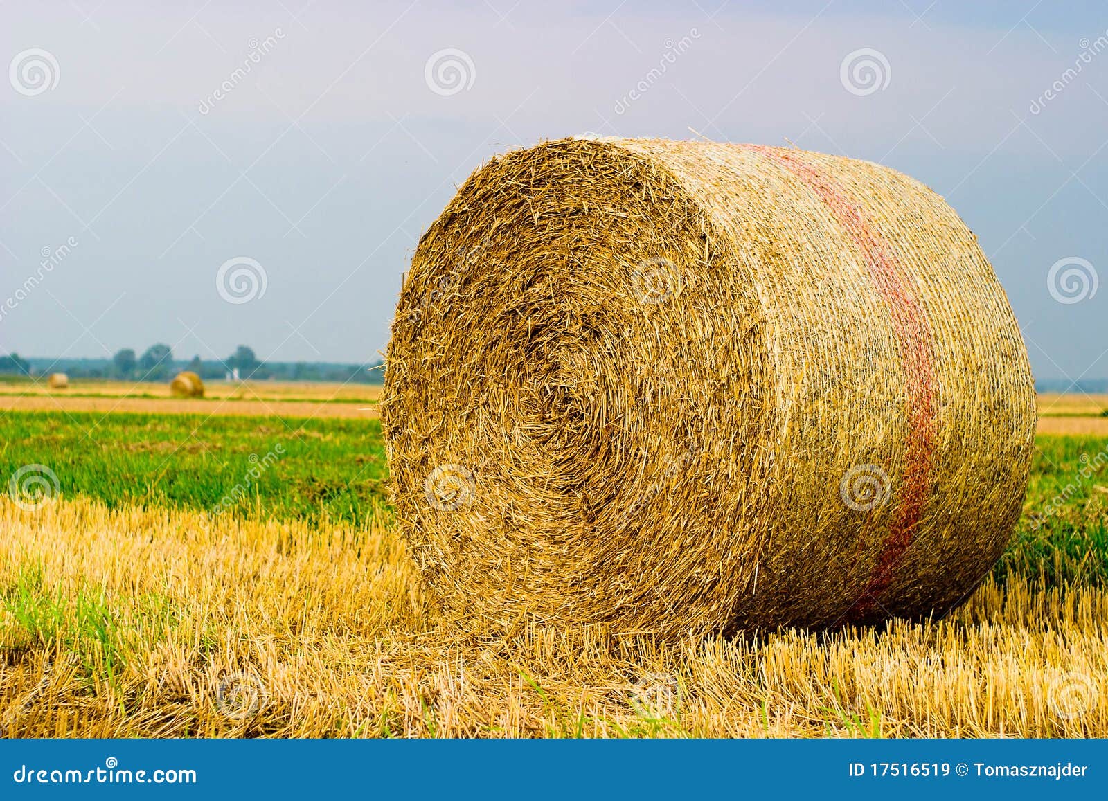Straw stock image. Image of natural, detail, plant, produce - 17516519