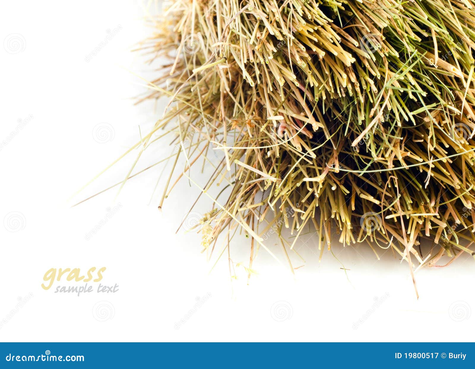 Straw stock image. Image of plant, bedding, nature, animals - 19800517