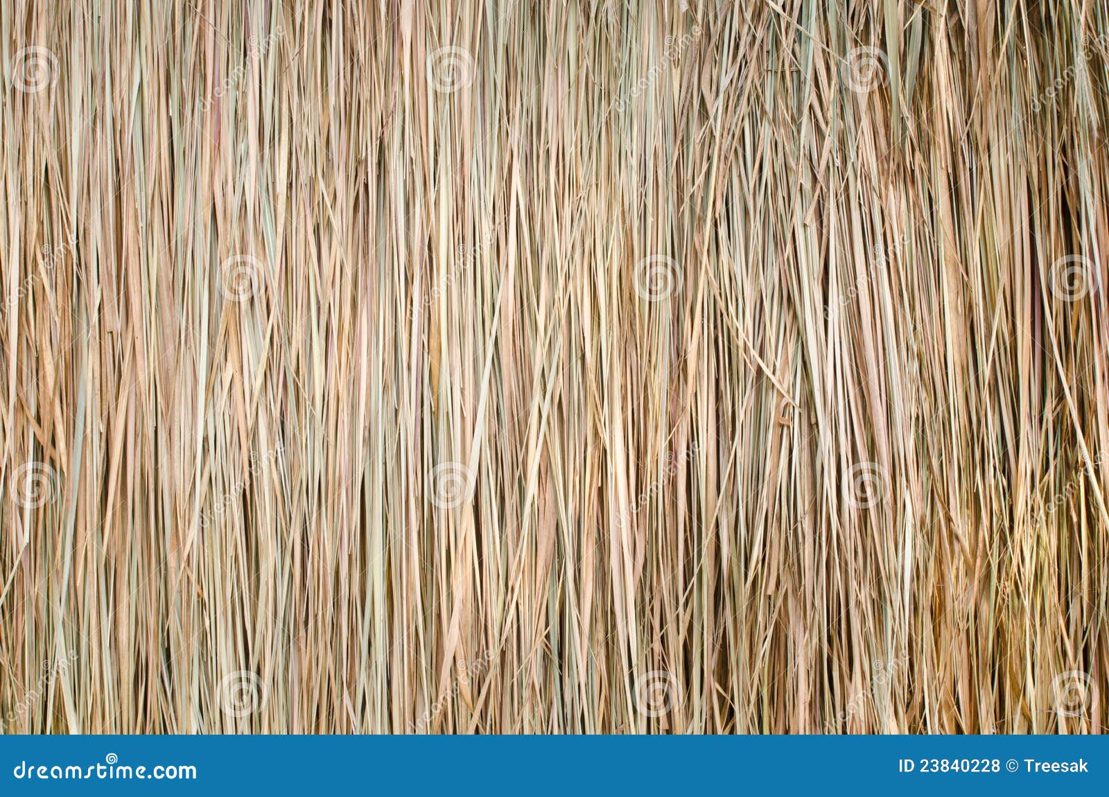Straw stock photo. Image of natural, color, hill, country - 23840228