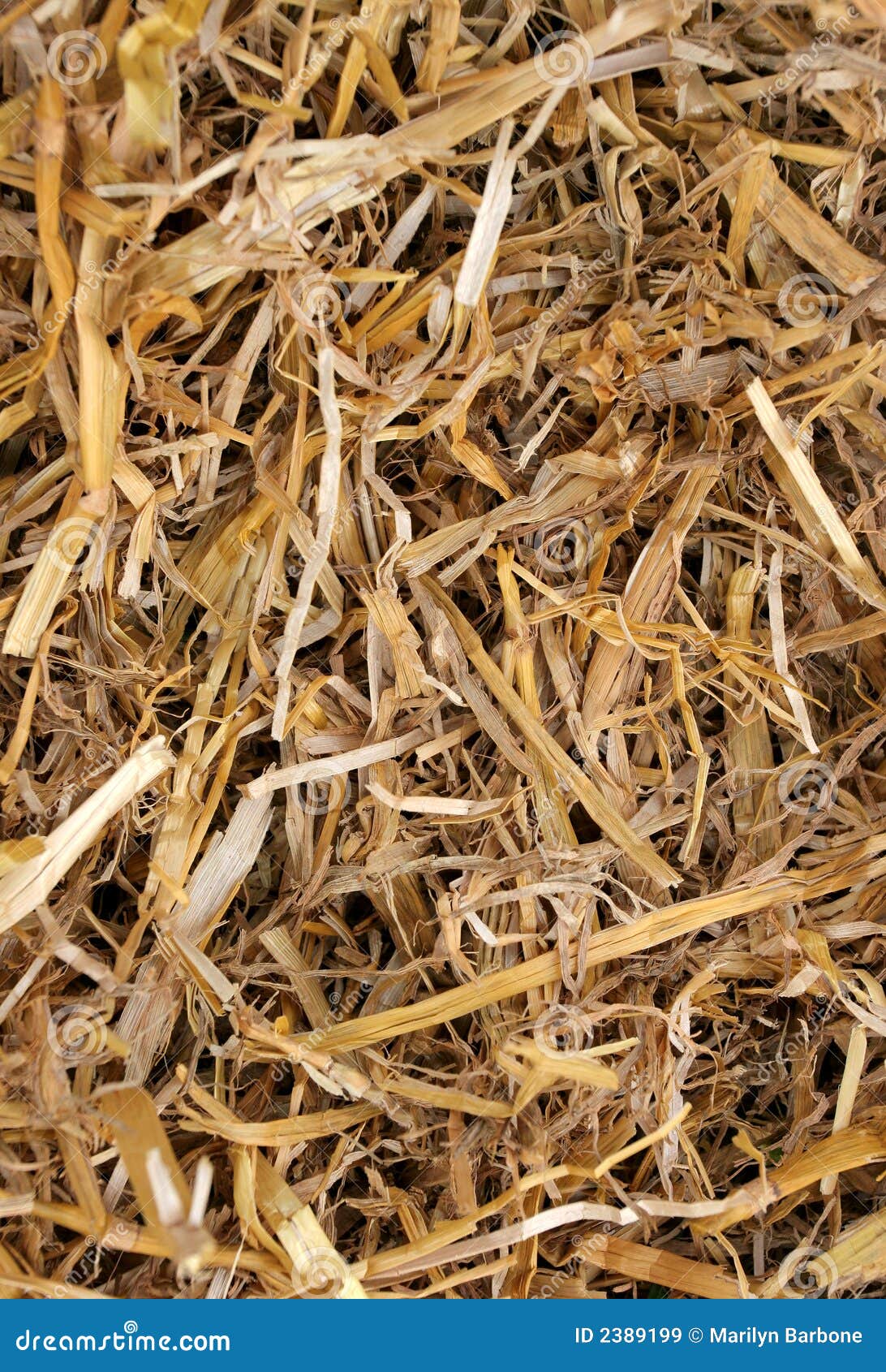 114 Straw Strands Stock Photos - Free & Royalty-Free Stock Photos from ...