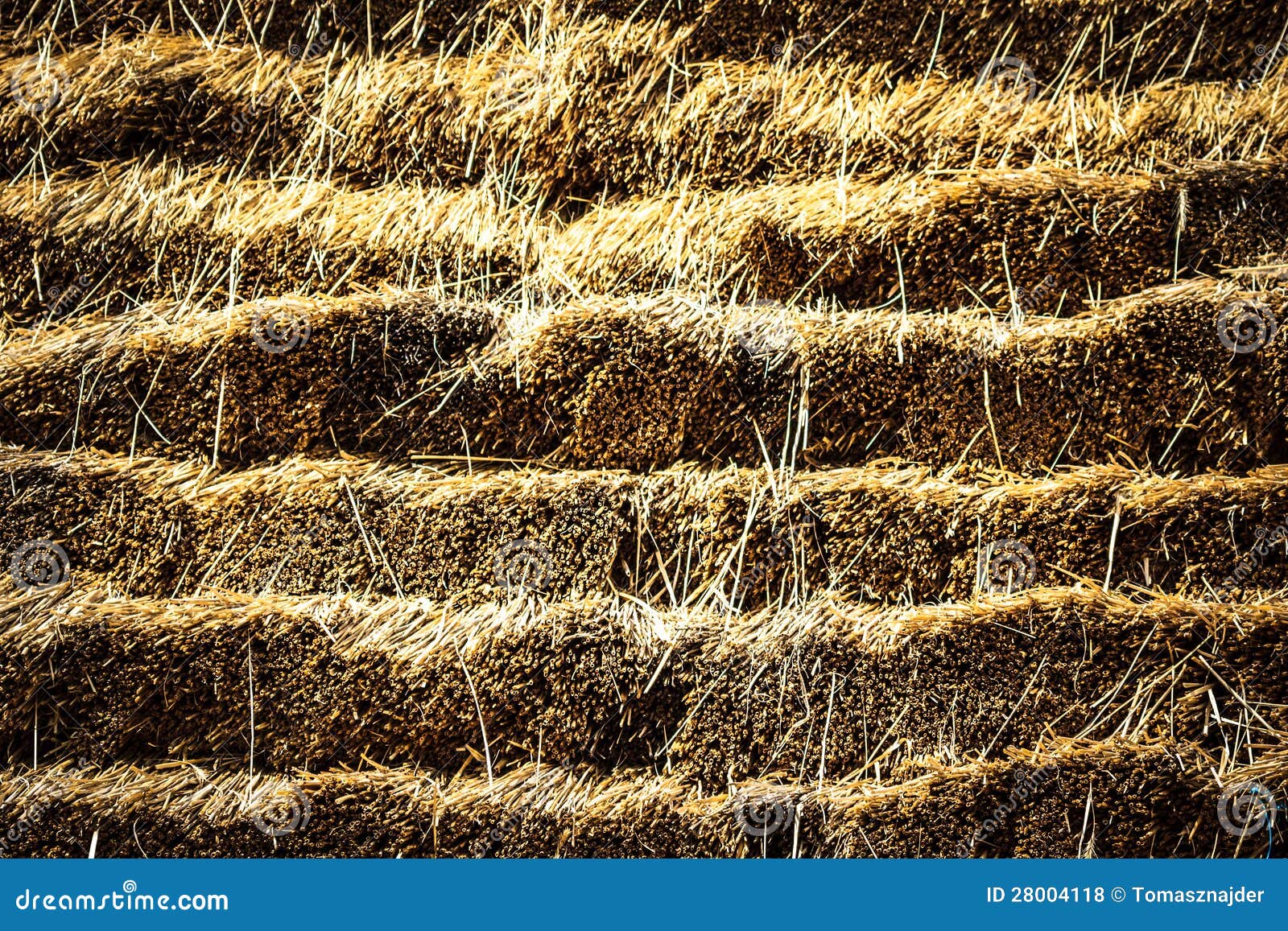 Straw stock photo. Image of nature, pattern, harvest - 28004118