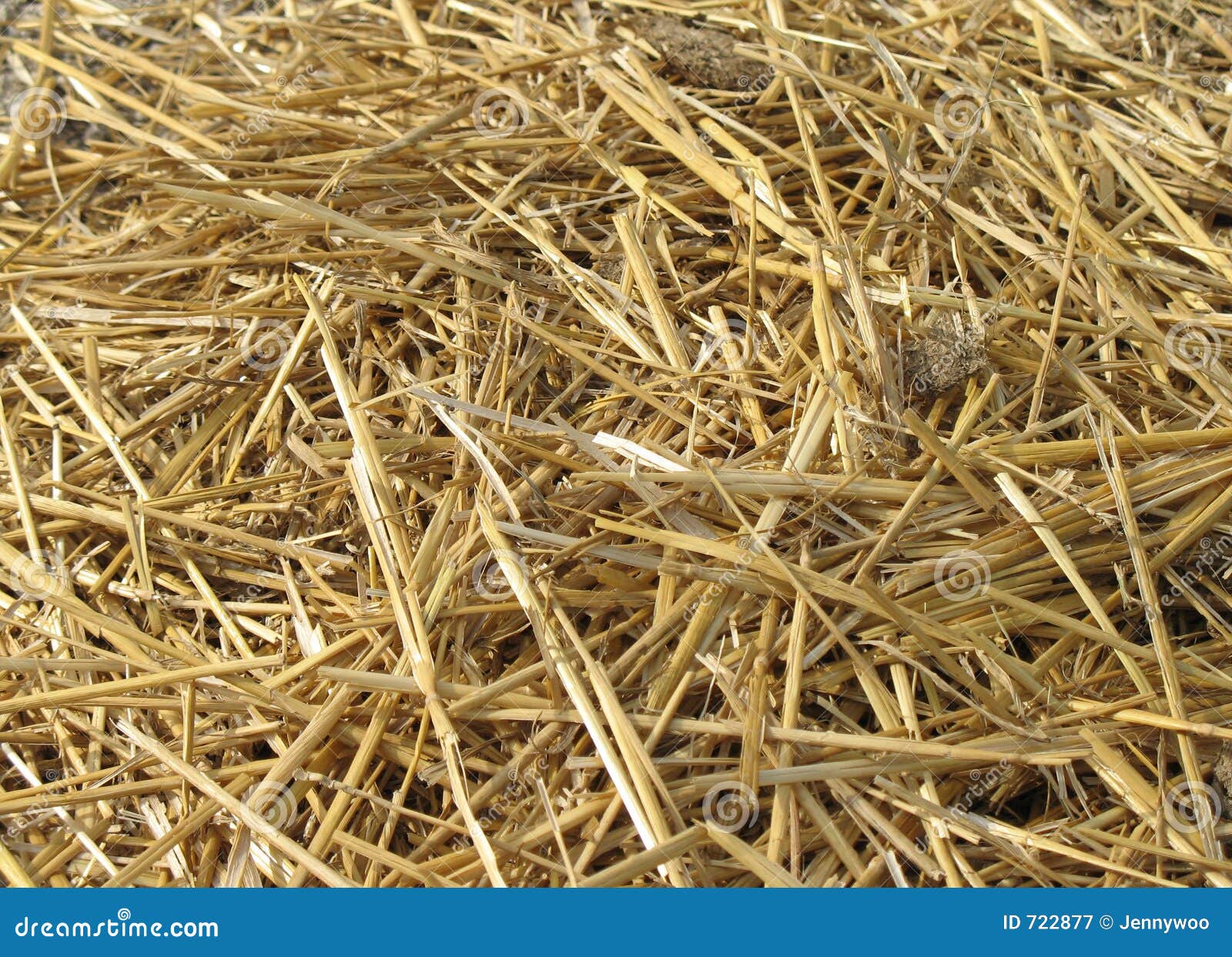 Straw stock image. Image of yellow, load, chaff, scattered - 722877