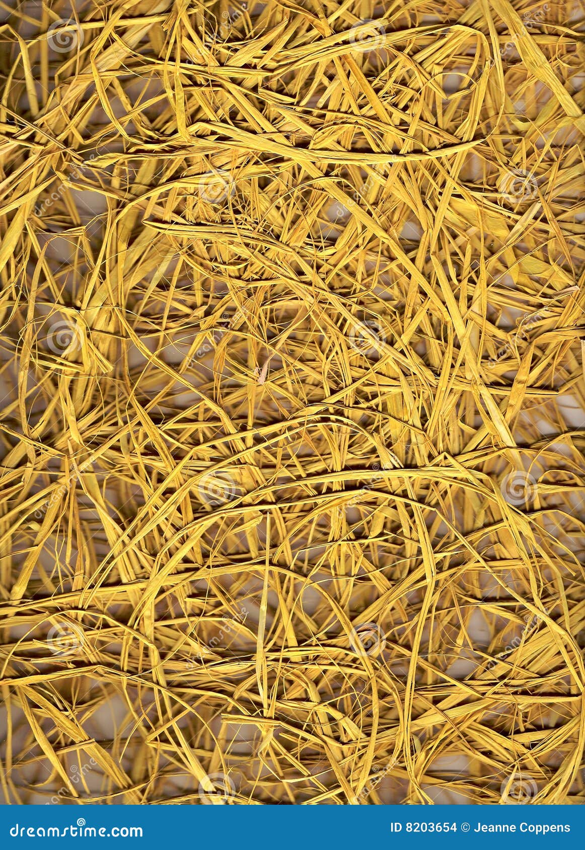 Straw. stock photo. Image of golden, farmer, background - 8203654