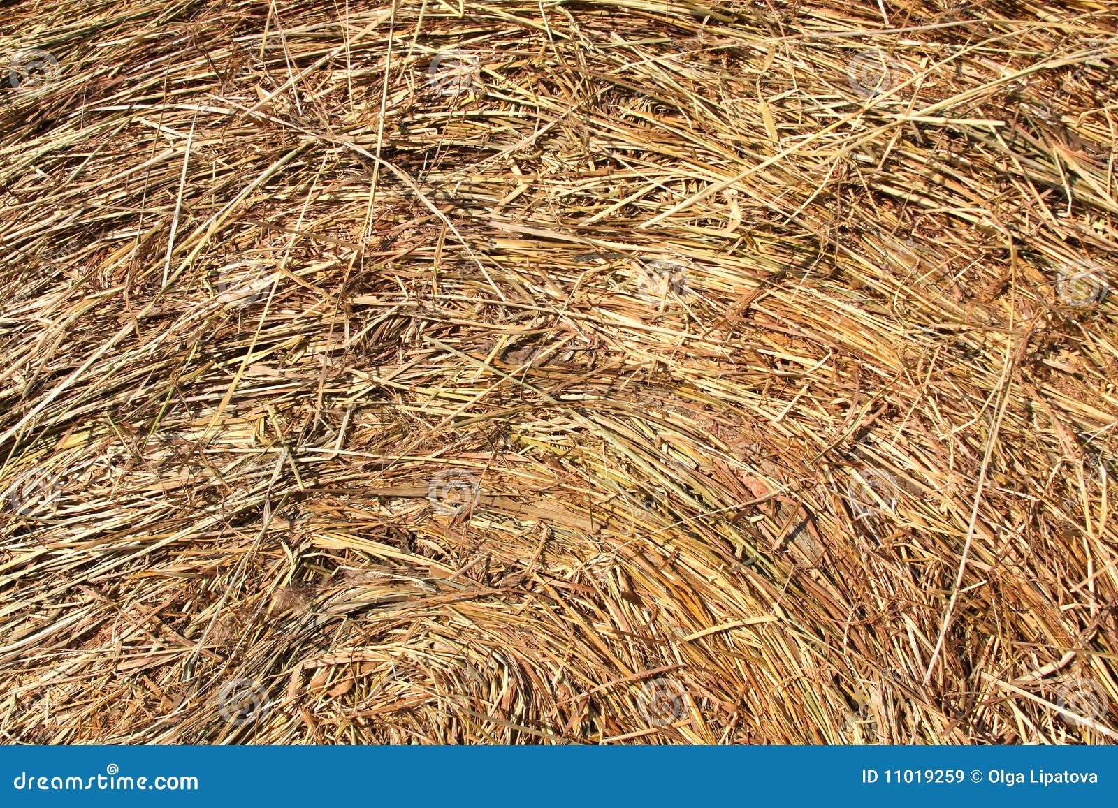 Straw background stock image. Image of circle, nature - 11019259