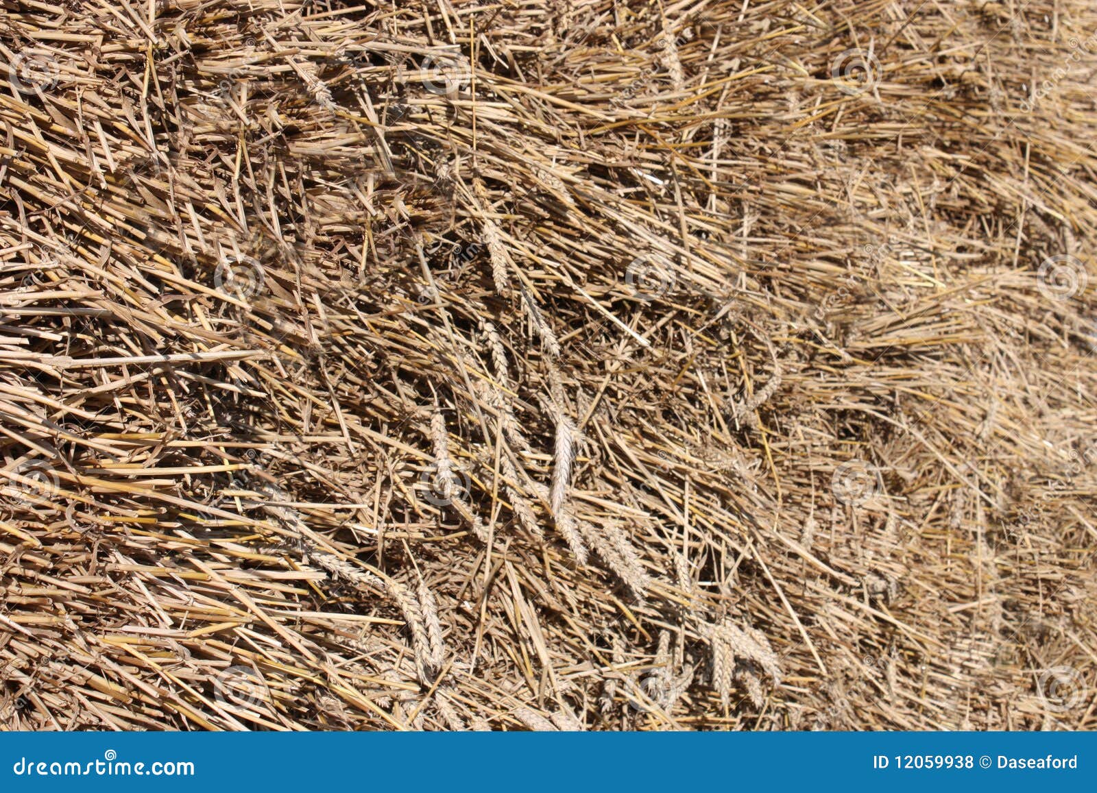 Straw Background stock photo. Image of countryside, farm - 12059938