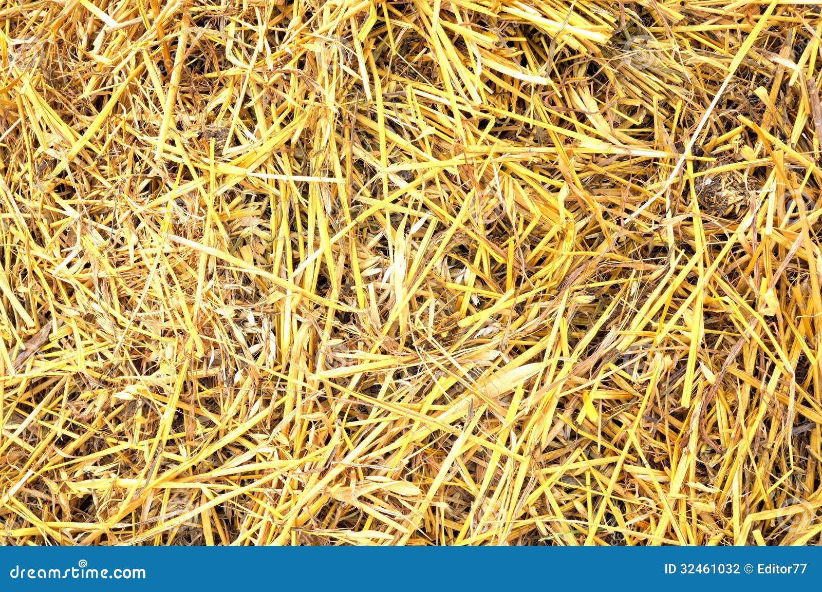 Straw background stock photo. Image of macro, background - 32461032