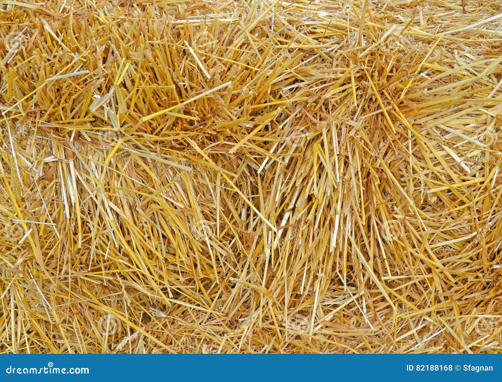 Straw background stock photo. Image of yellow, gold, grain - 82188168