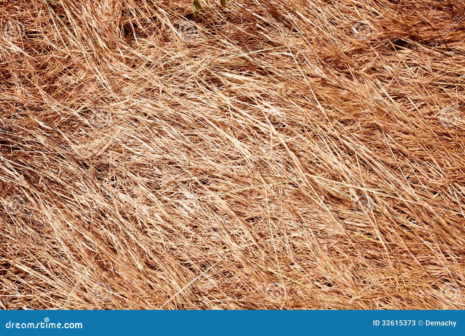Straw Background stock image. Image of pattern, summer - 32615373