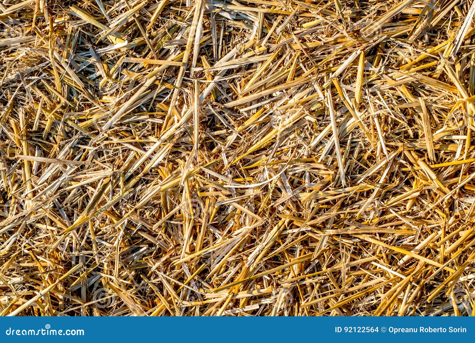 Straw background stock photo. Image of background, field - 92122564