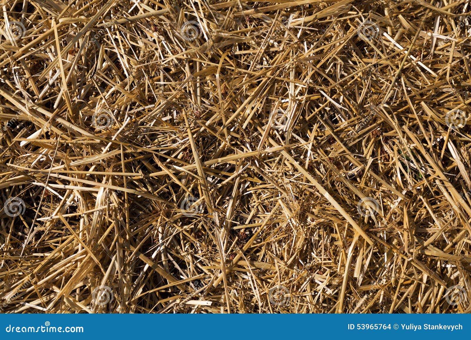 Straw background stock photo. Image of ground, laying - 53965764