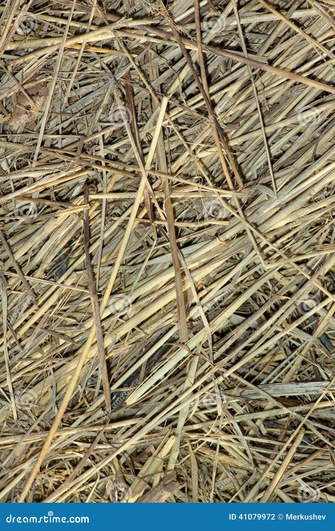 Straw background stock photo. Image of grass, rural, background - 41079972