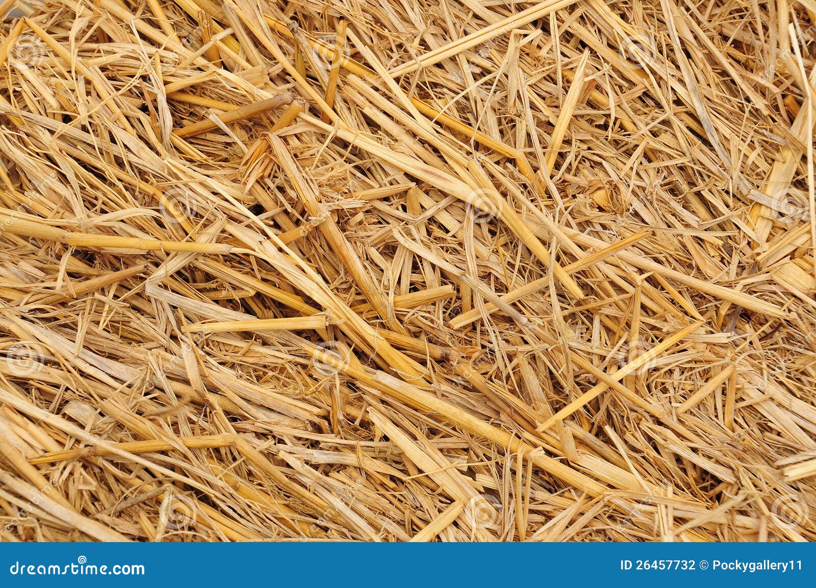 Straw Background Texture Stock Photo | CartoonDealer.com #26457732