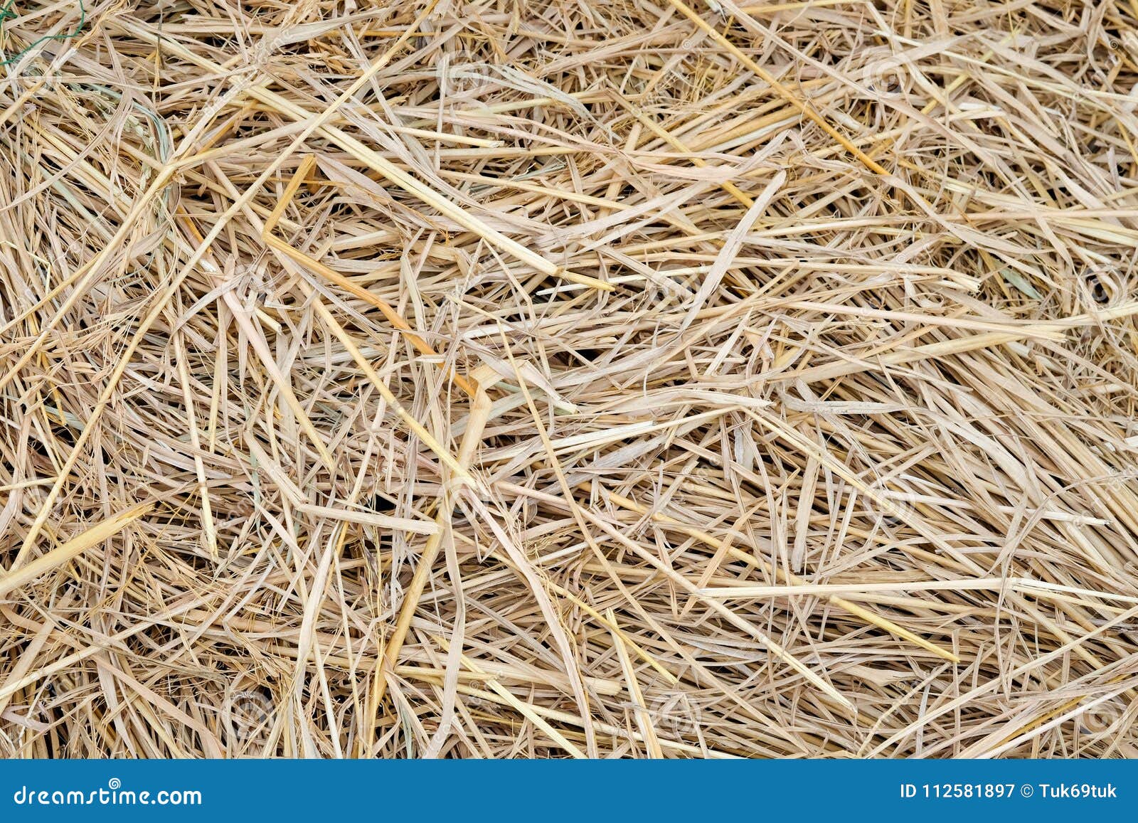 Straw Background Texture, Abstract Natural for Design Stock Image ...