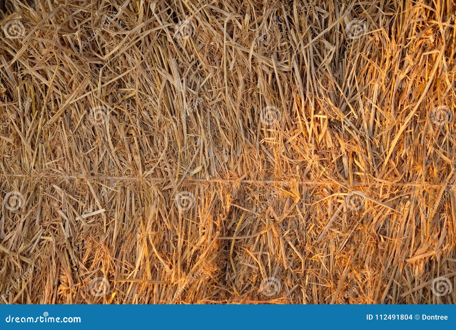 Dry Straw for Design Background Stock Photo - Image of seasoning ...
