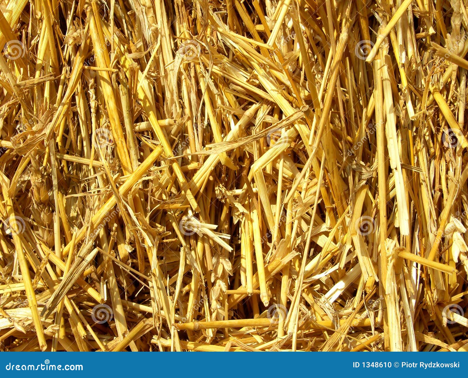Straw backgrounds stock photo. Image of agriculture, cereal - 1348610