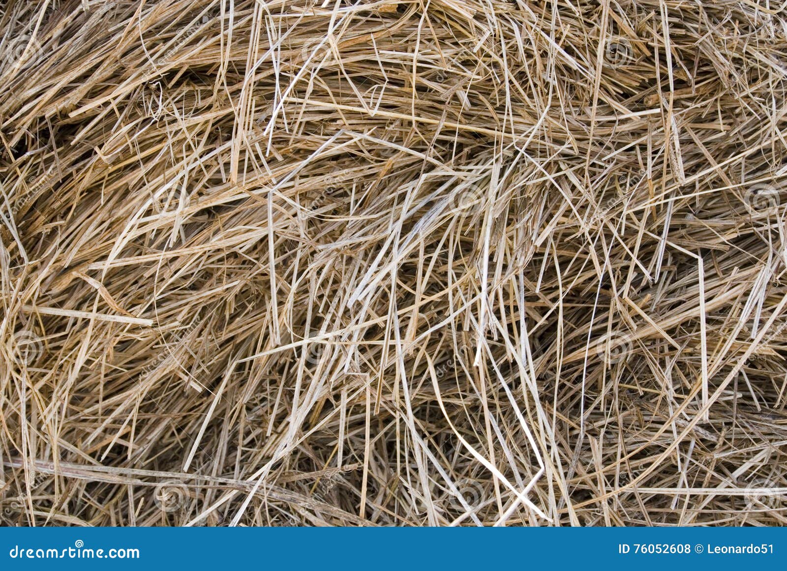 Straw Backgrounds Stock Photography | CartoonDealer.com #1348610
