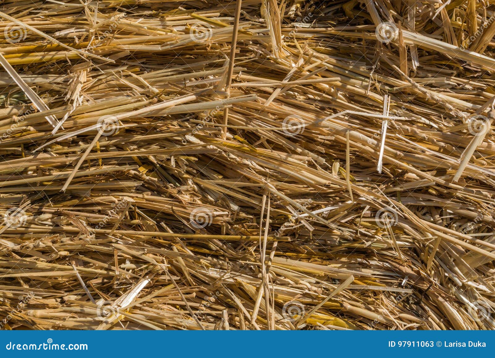Straw Backgrounds Stock Photography | CartoonDealer.com #1348610