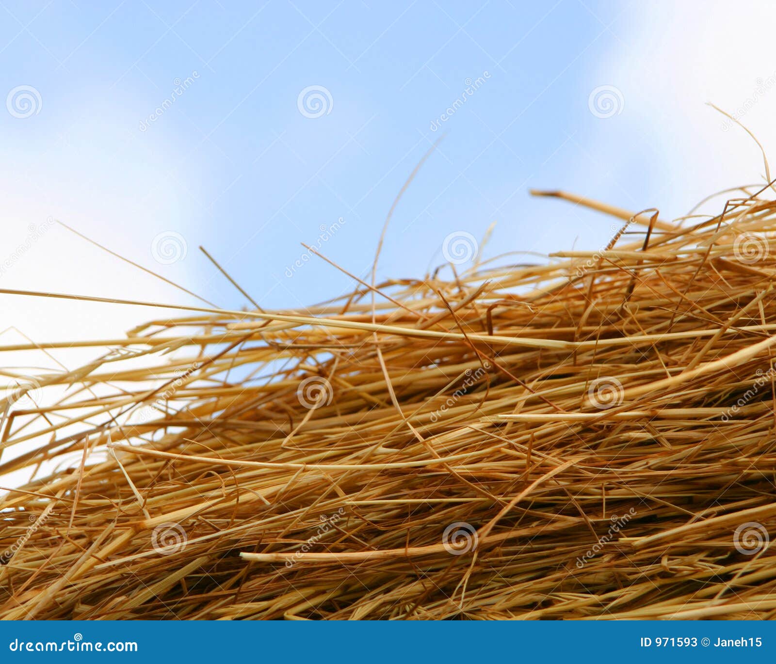 Straw bail stock image. Image of crops, summer, agriculture - 971593
