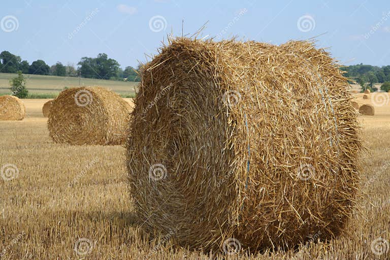 Straw Bale 8 stock photo. Image of summer, fall, farming - 1124332