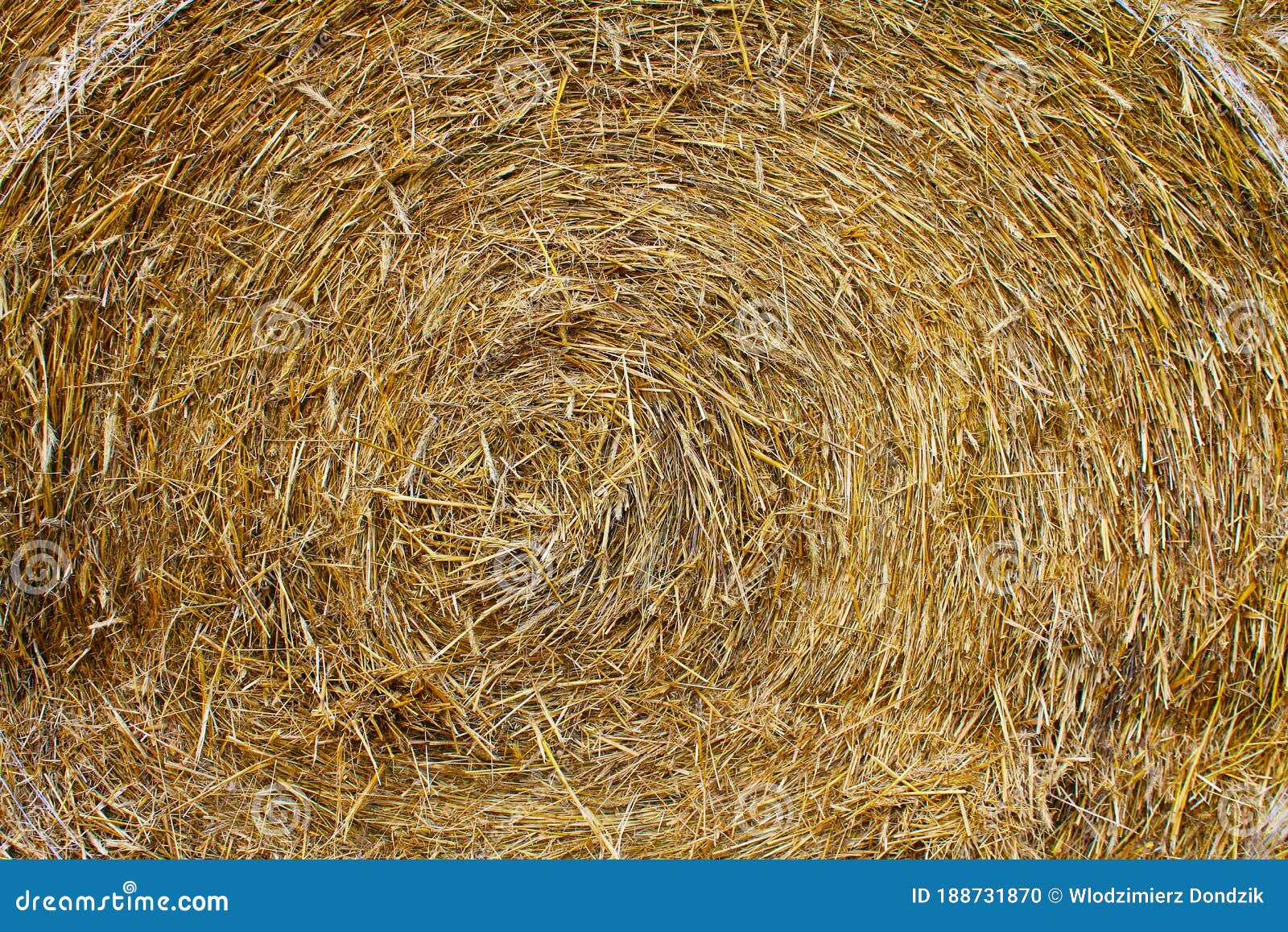 Raw. Straw in the Bale, Biomass for Various Applications Stock Photo ...
