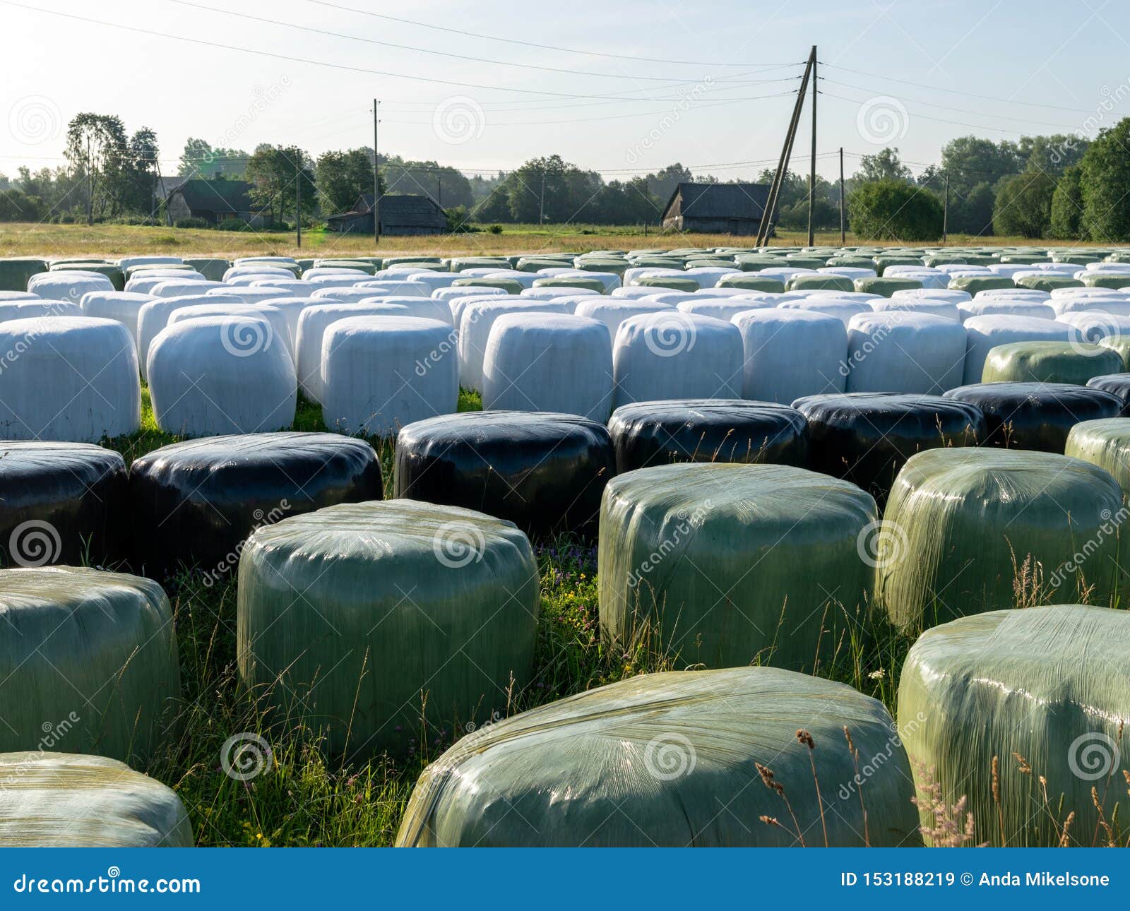 Flied panorama stock image. Image of interesting, green - 153188219