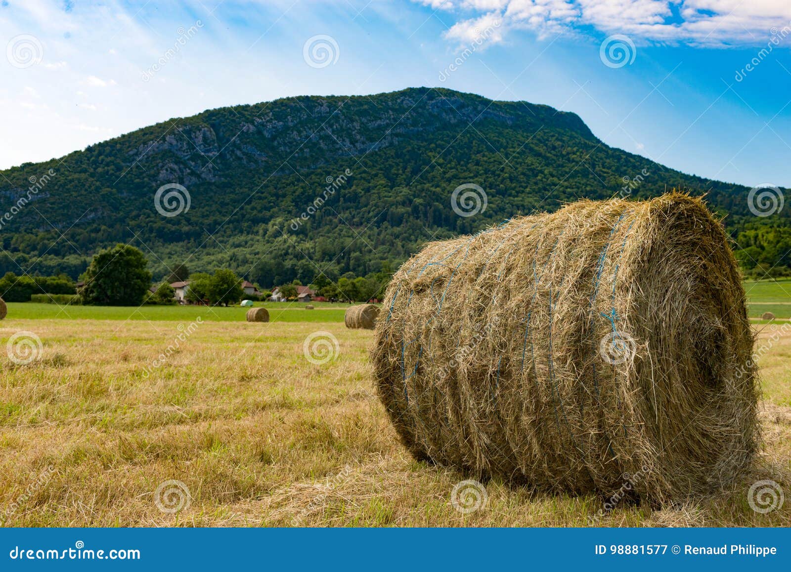 Straw Bale in the Field, the Mountain in the Background Stock Image ...
